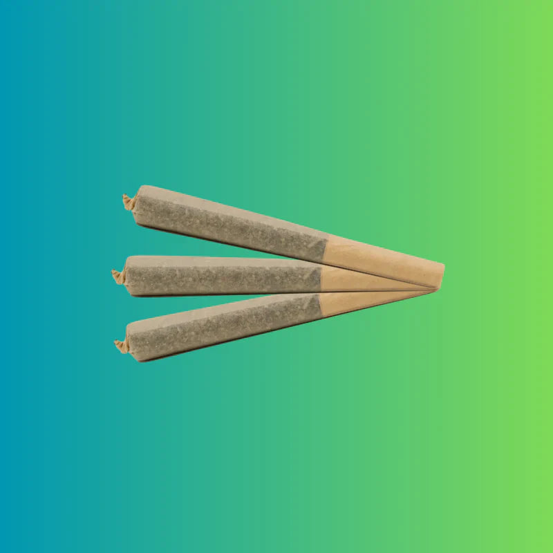 Pre-Rolls – Casa Mota Houston
